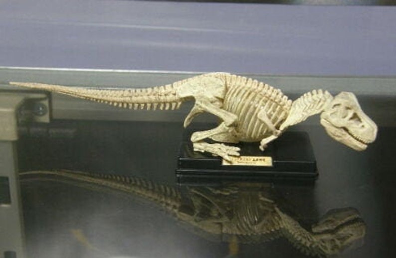 Tyrannosaurus Rex T-rex Dinosaur Skeleton Fossil PVC Figurine Figure ...