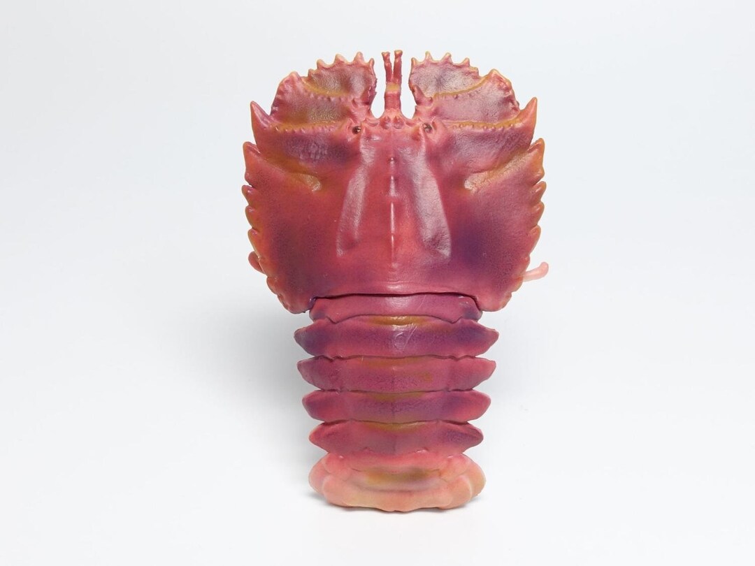 Flathead Lobster Slipper Lobster Crab PVC Figure Model Figurine - Etsy