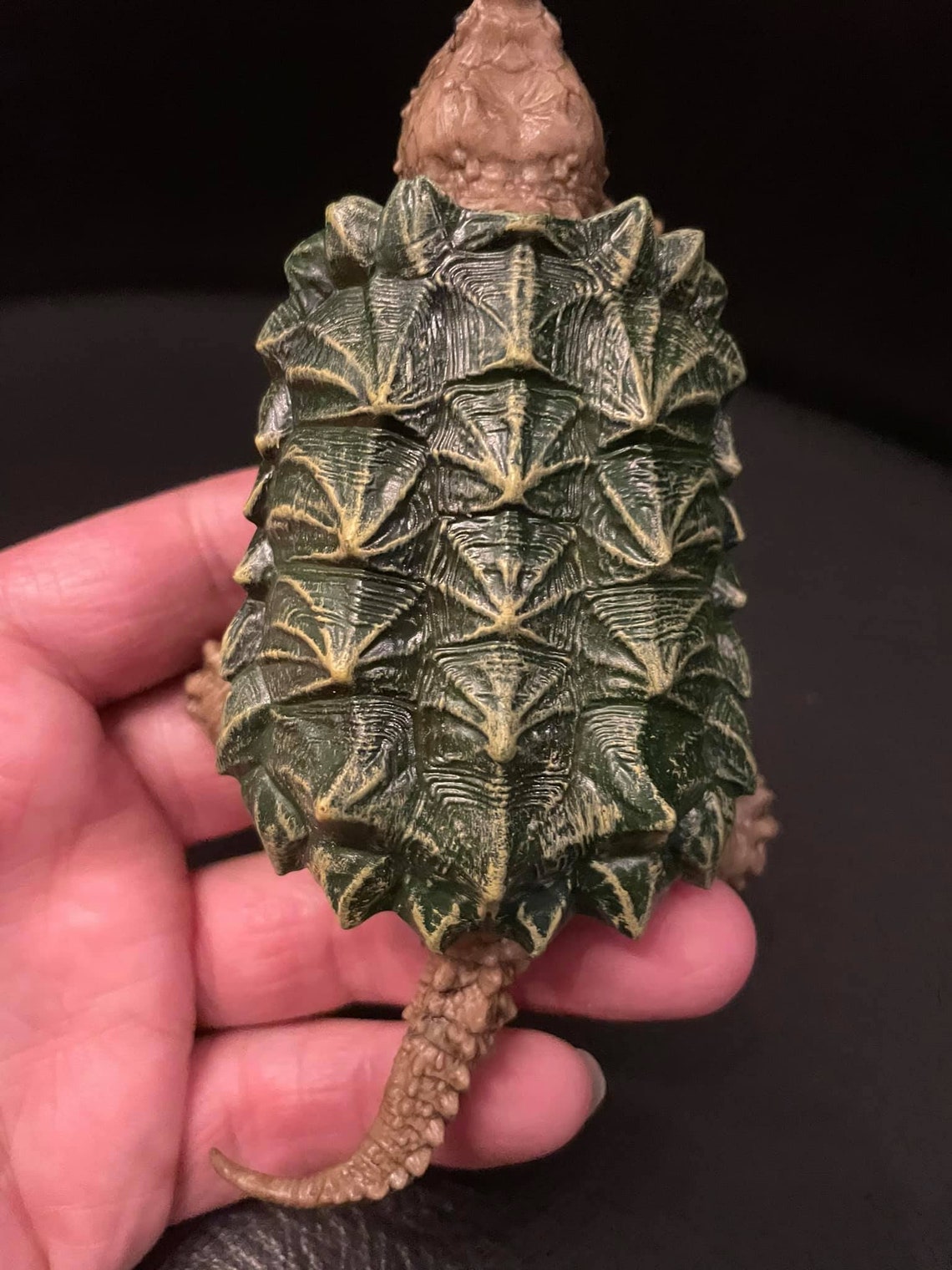 Alligator Snapping Turtle animal PVC Action Figure model with | Etsy