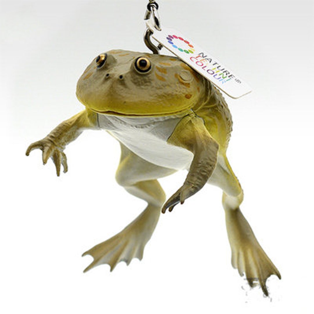 Budgett's Frog Toad PVC Figure Model Figurine Keychain - Etsy