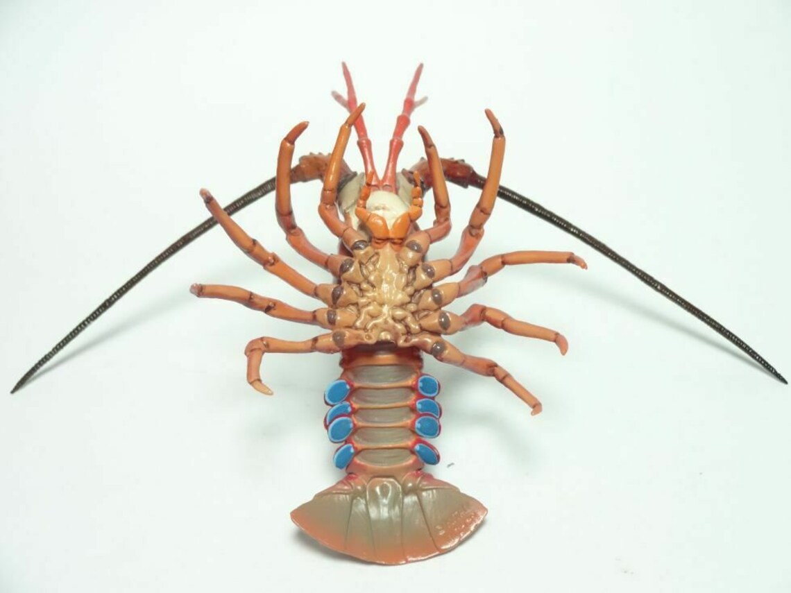 Nature of Japan Japanese Spiny Lobster PVC Mini Figurine - Etsy