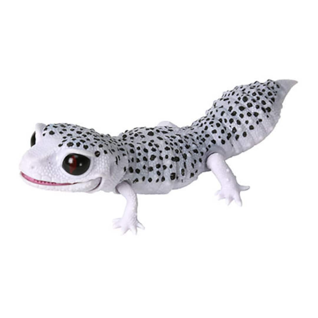 Japan Q Leopard Gecko Lizard PVC Action Figure Model With Joints 10cm ...