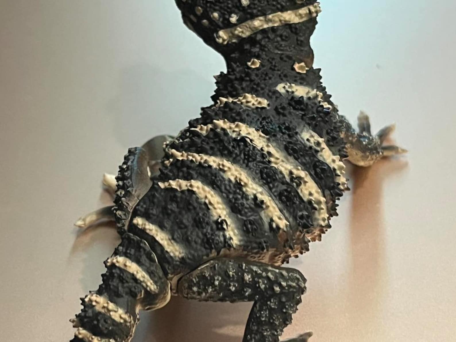 Green Rough Knob-tailed Gecko Lizard PVC Figure Model With Two - Etsy