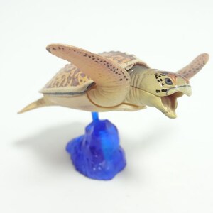 Japan Archelon Prehistoric Sea Turtle PVC Mini Figurine Figure Model - Etsy
