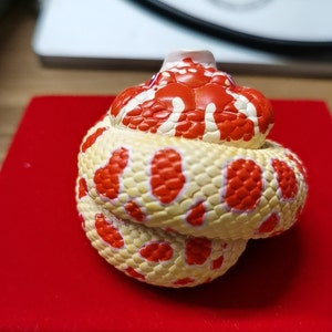 Albino Western Hognose Snake Super Q Resin Model Figure - Etsy