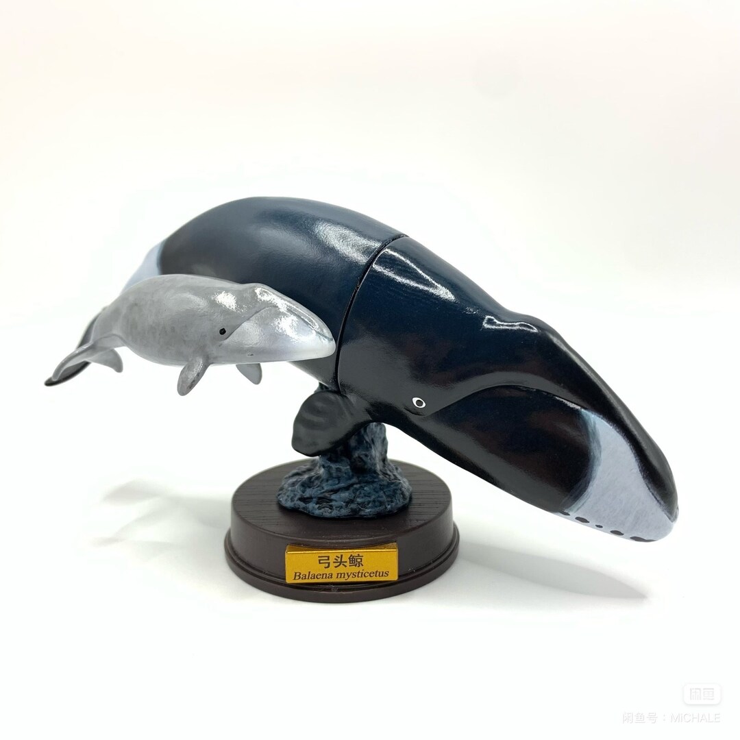 Bowhead Whale With Calf PVC Mini Figure Model Figurine With Base - Etsy