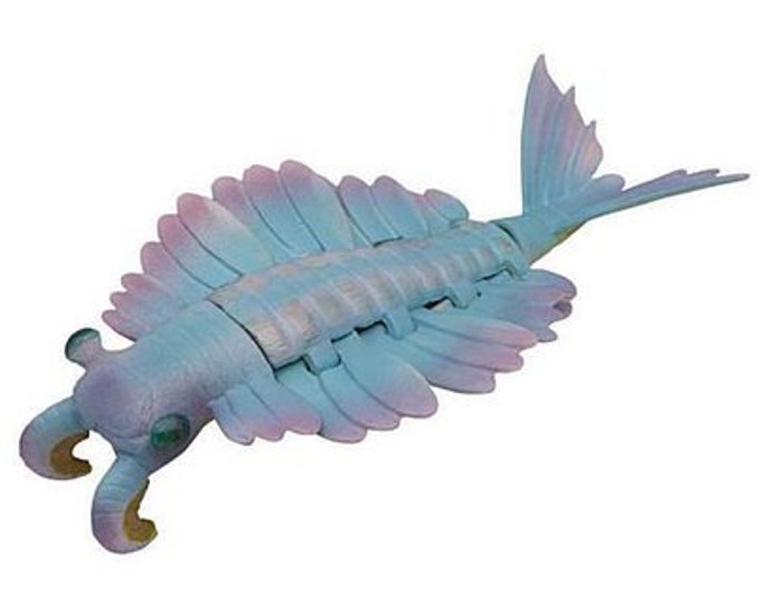 Anomalocaris Abnormal Shrimp Prehistoric Fish Dinosaur PVC Action ...