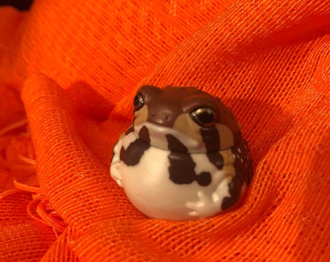 Common Bushveld Rain Frog PVC Mini Model Figure Roly Poly Toy B - Etsy