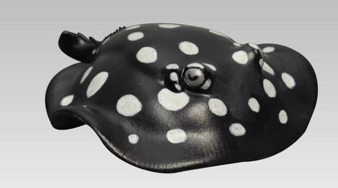 Super Q Xingu River Ray Polka Dot Freshwater Stingray Fish Resin ...
