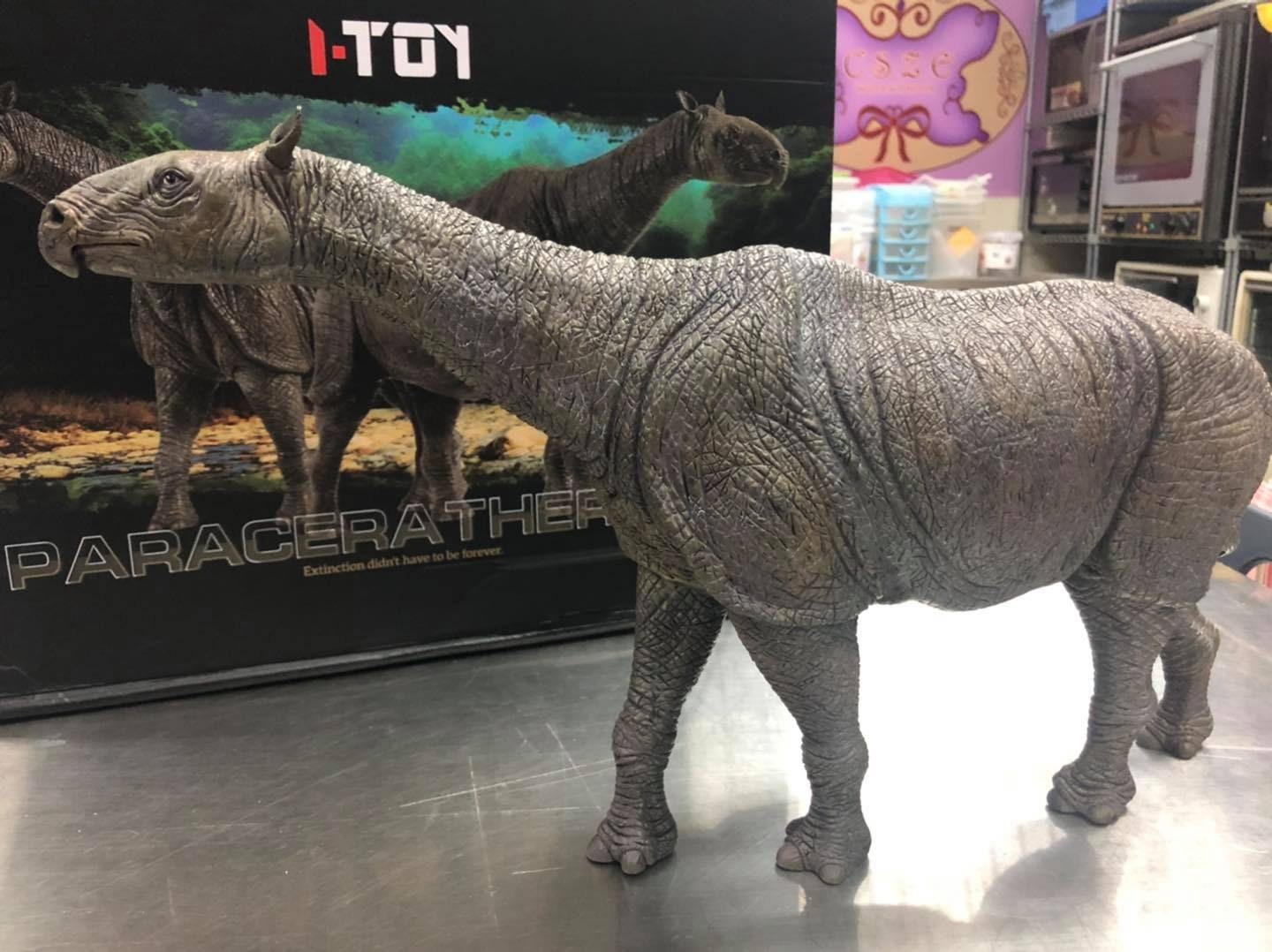 Paraceratherium Vs T Rex