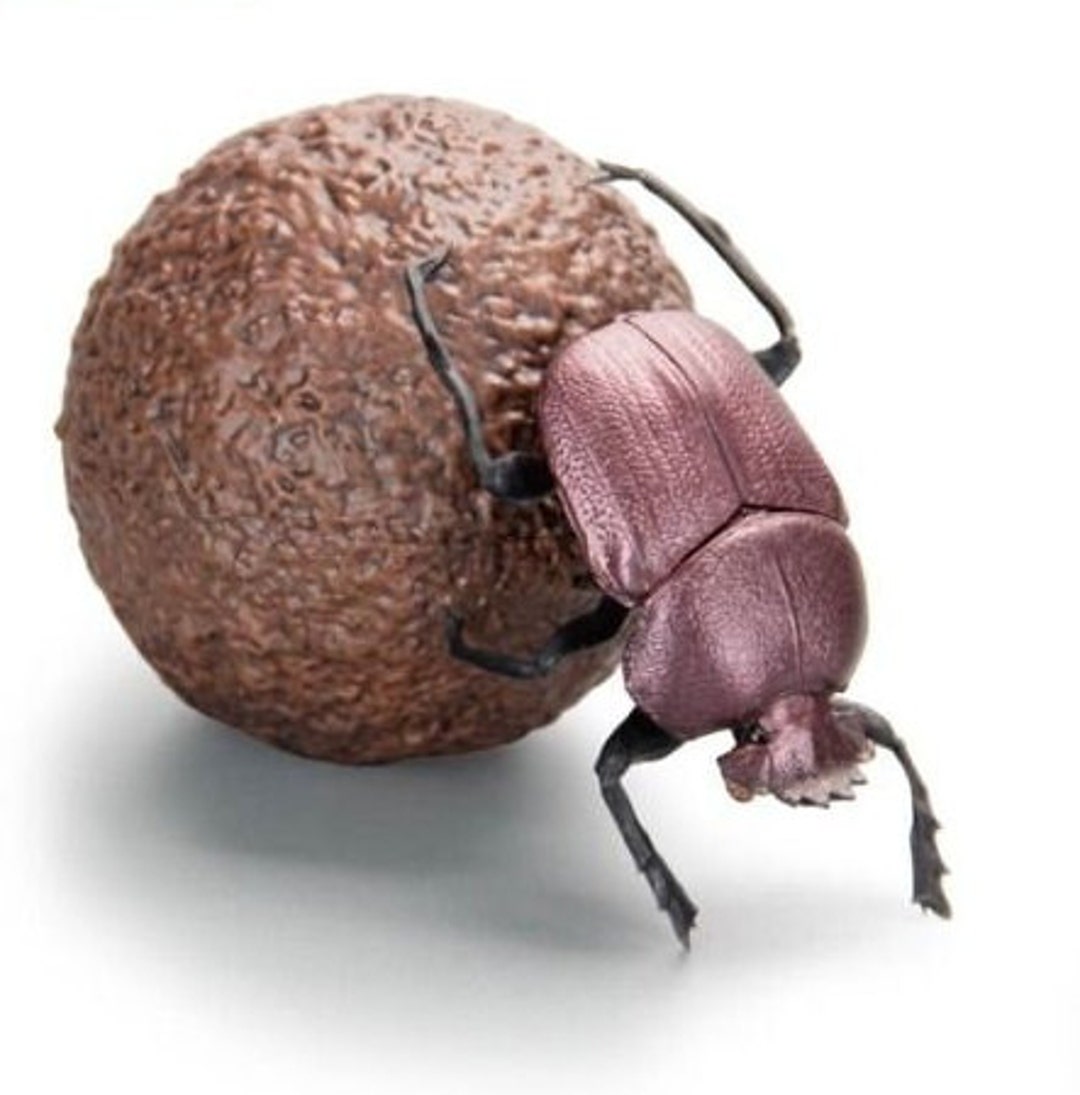 Red Dung Beetle With Dung PVC Life Size Figure Model Figurine - Etsy
