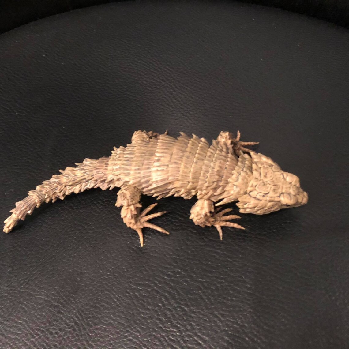 Armadillo Girdled Lizard Animal PVC Action Figure Model - Etsy