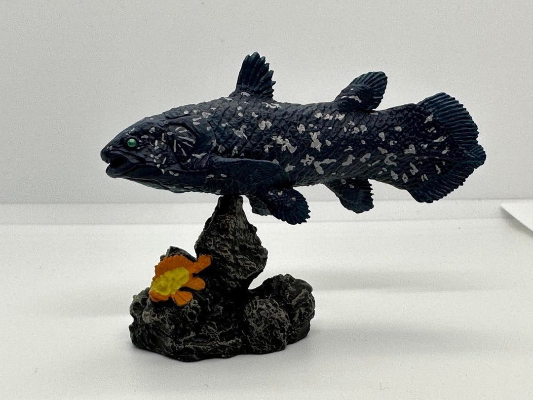 Japan Coelacanth Fish Animal PVC Figure Model Figurine - Etsy