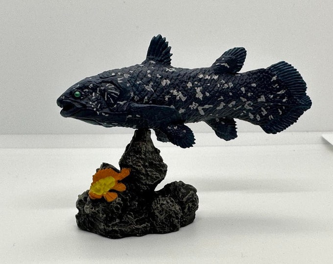 Coelacanth Living Fossil Dino Fish Replica in Museum Quality. Animal ...