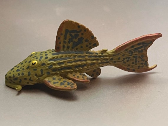 Scarlet Pleco