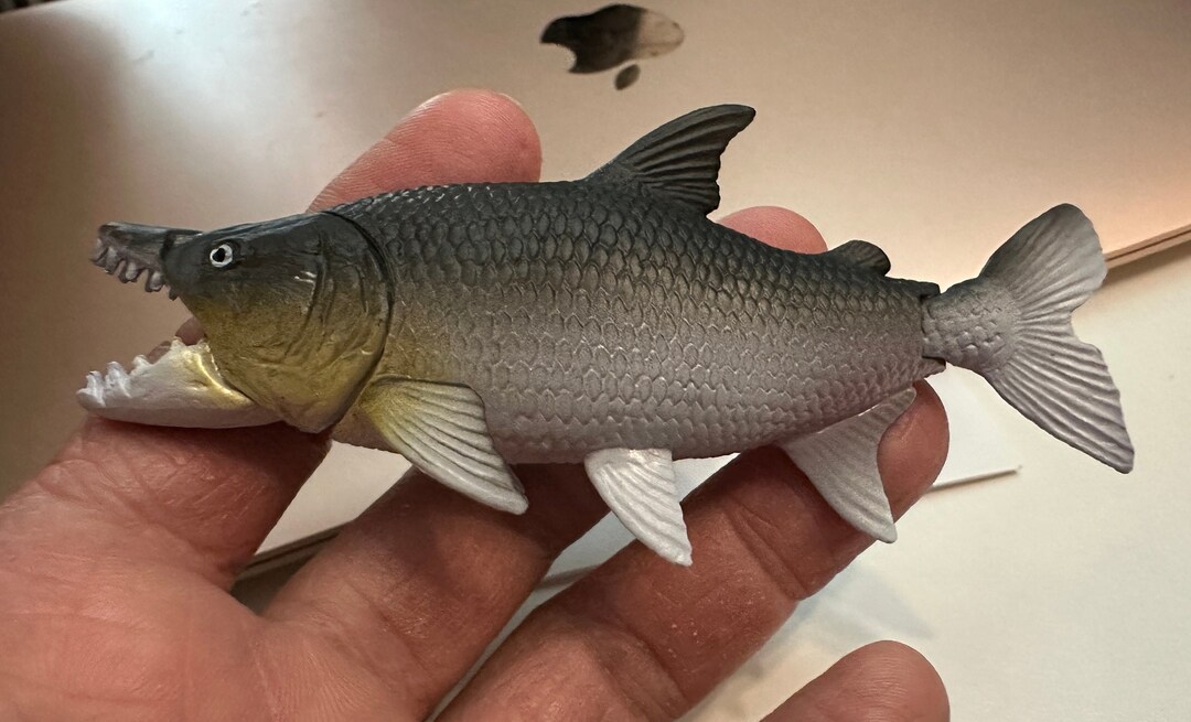 Africa Goliath Tigerfish Tiger Fish PVC Action Figure Model With Joints ...