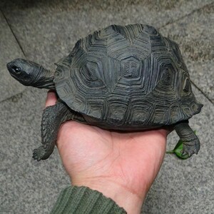 Aldabra Giant Tortoise Land Tortoise Turtle Resin Model Figure Figurine ...