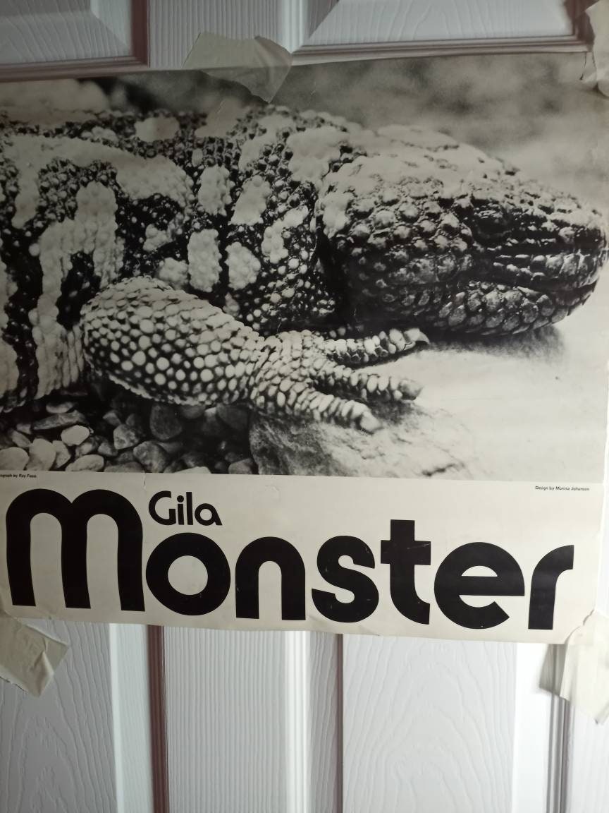 Gila Monster Poster | Etsy