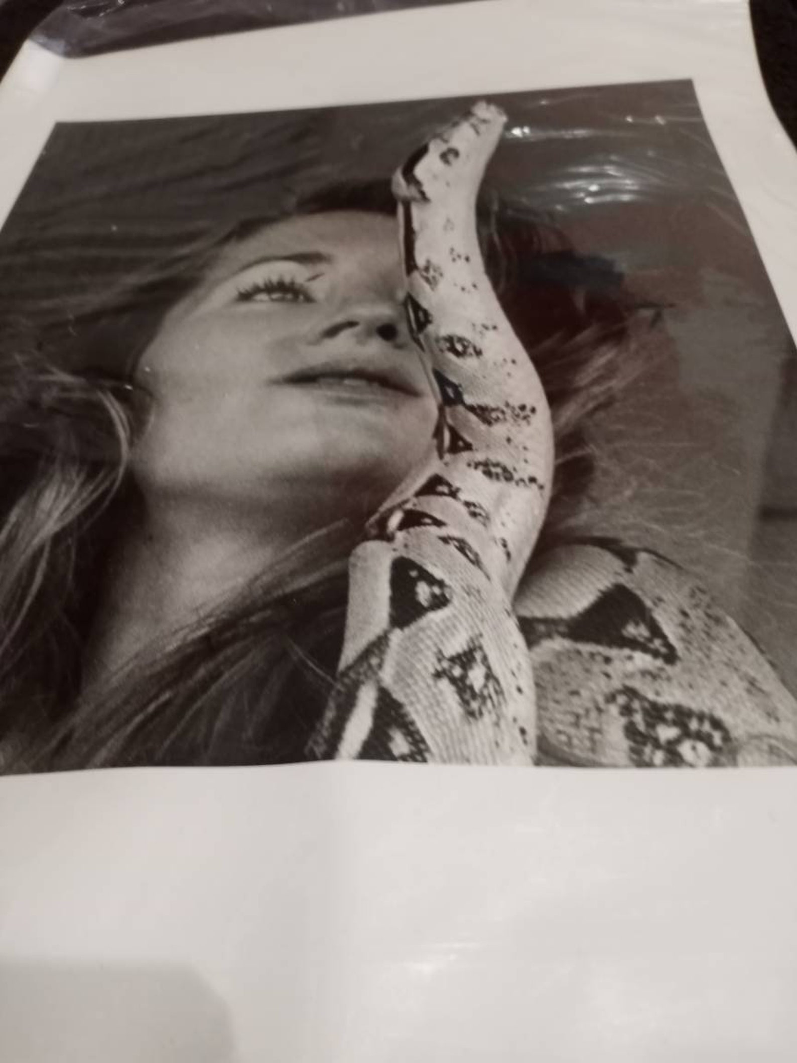 Boa Constrictor With Nude Girl. A Collection of Seven Assorted - Etsy