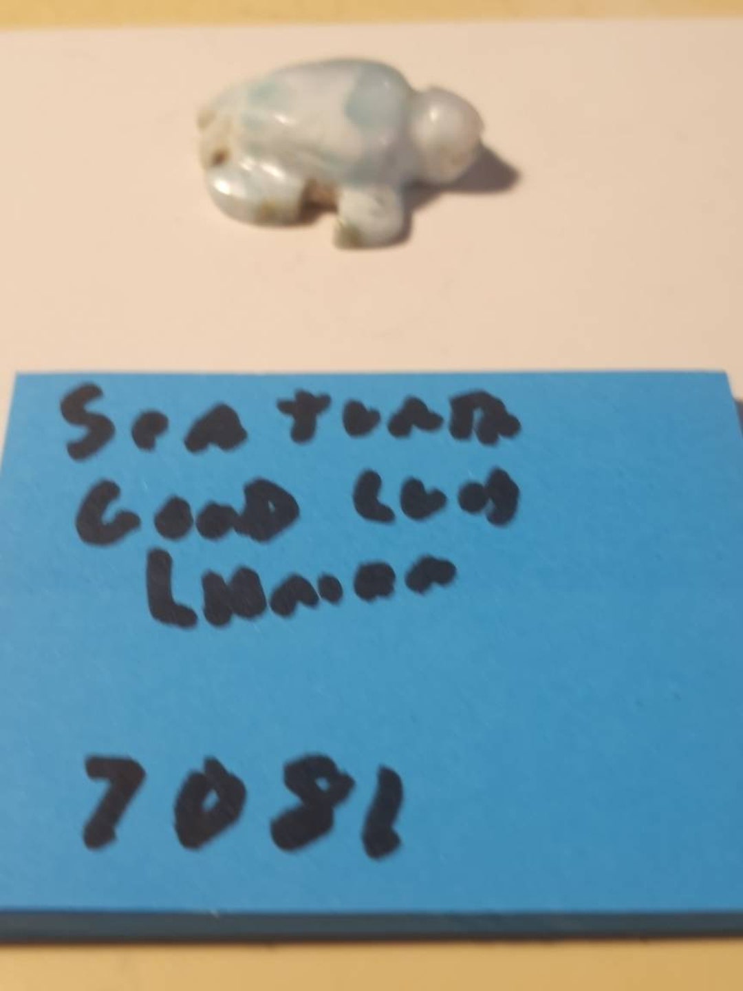 Sea Turtle Good Luck Charm Larimer Stone From the Dominican Republic - Etsy