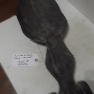 Lizard With Spoon in Its Mouth Wood Carved From West Africa.. Tip of ...