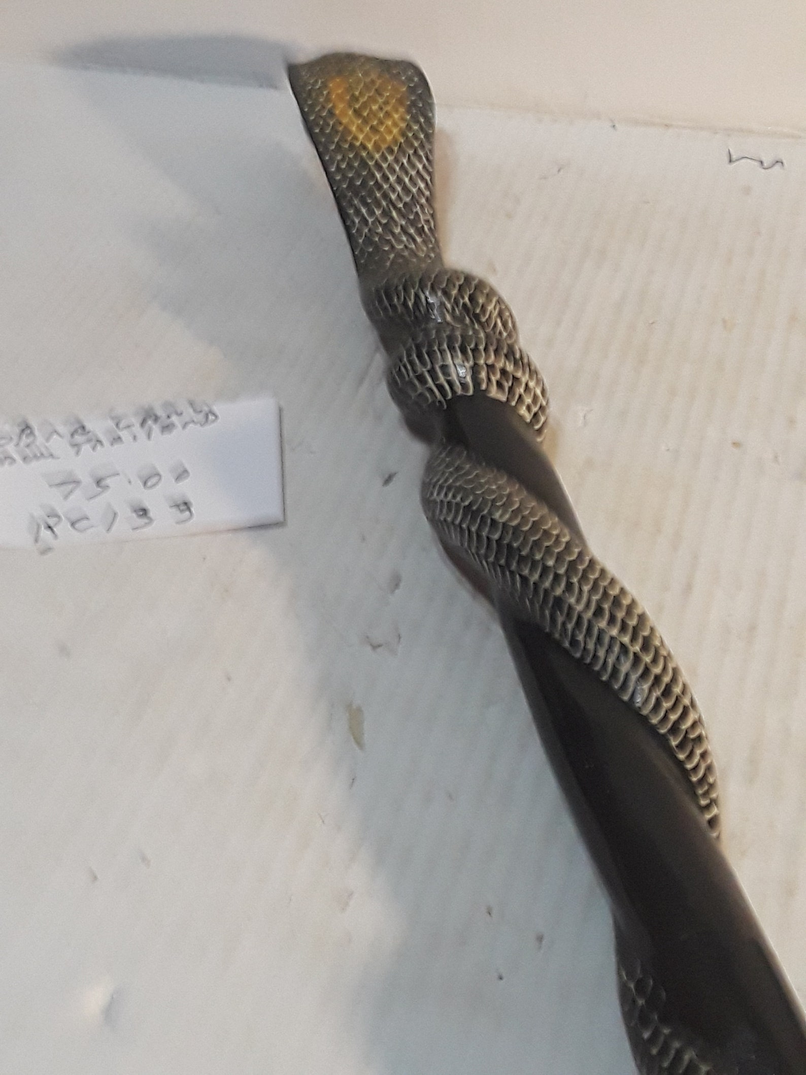 Cobra Wood Carved Walking Stick From Thailand - Etsy