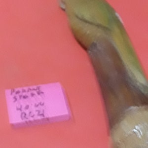 Parrot Staff States America on It Hand Carved - Etsy