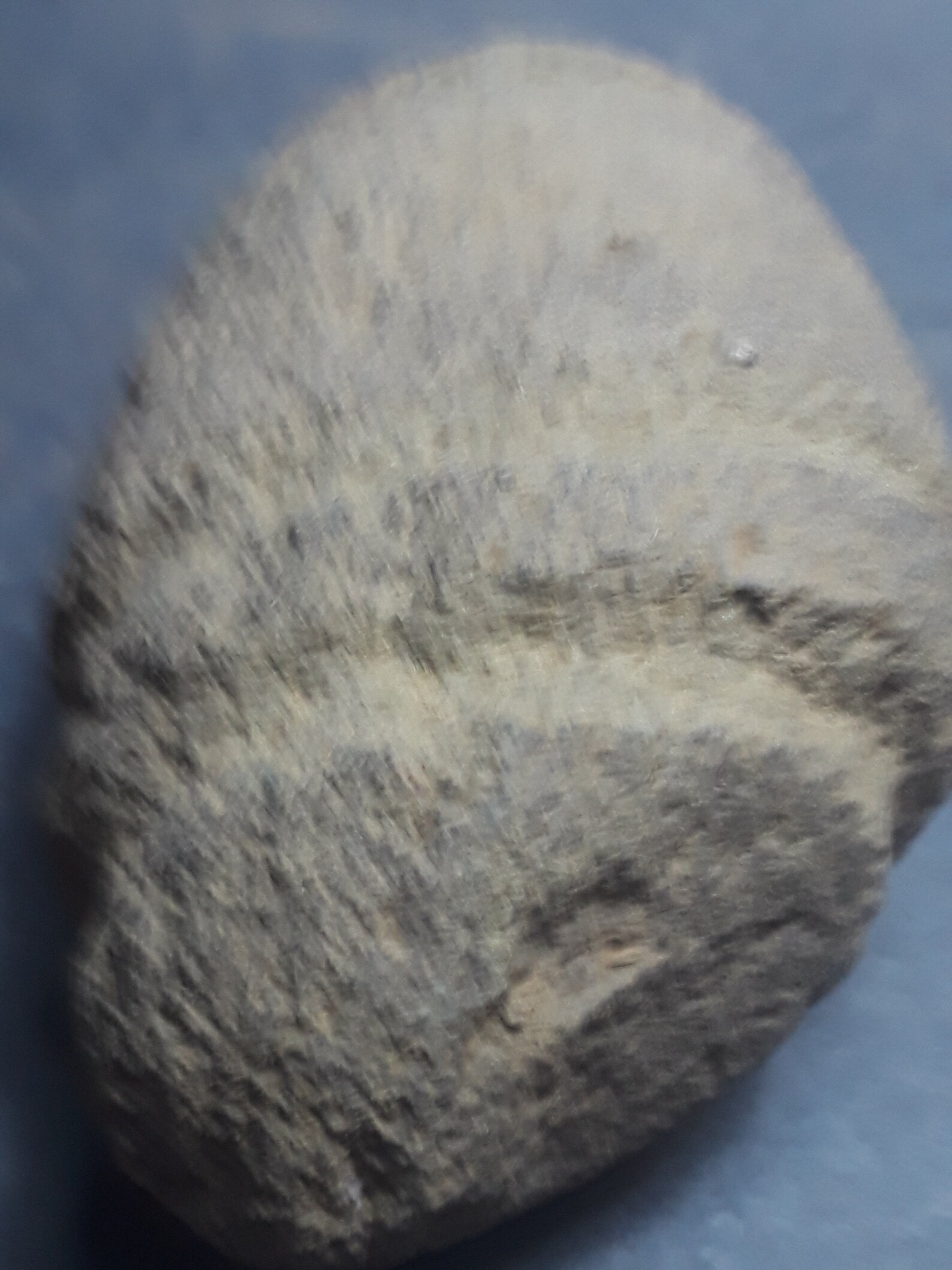 Pistol for Mortal Rock Hand Carved in the Dominican Republic | Etsy