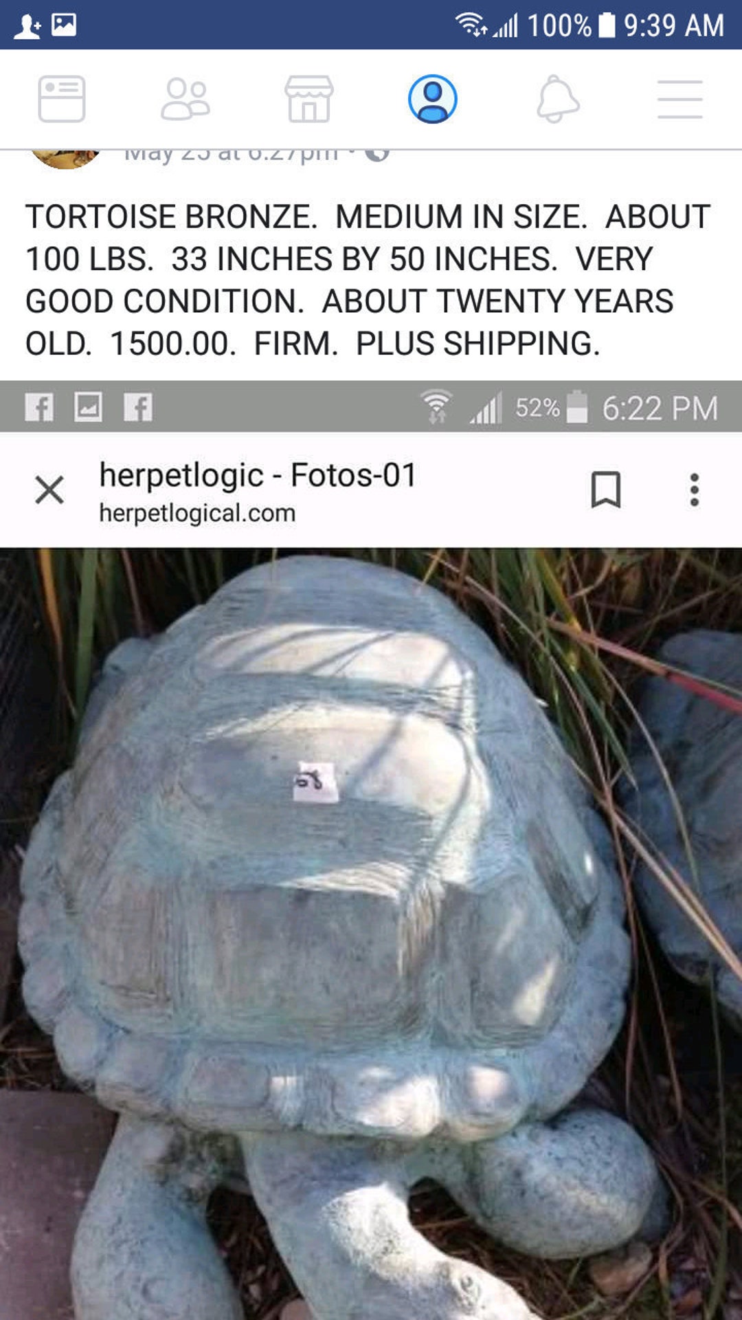 Tortoise Bronze Statue - Etsy