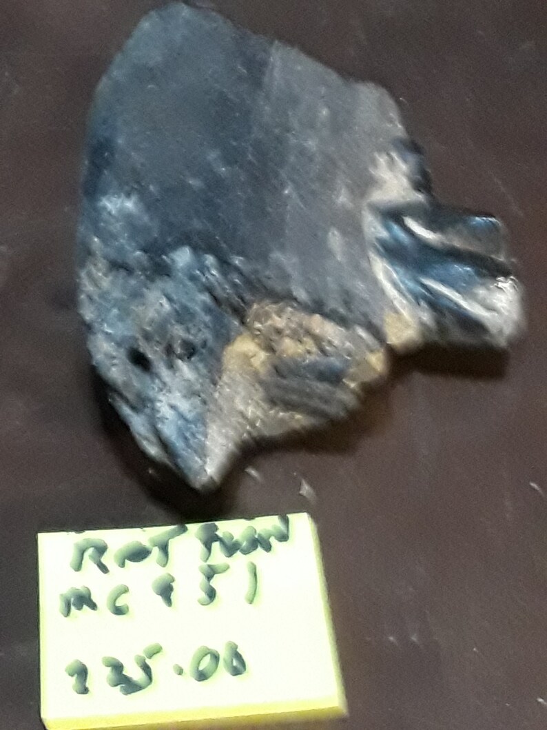 Rat fossil jaw bone with tooth from Cambodia i just brought | Etsy