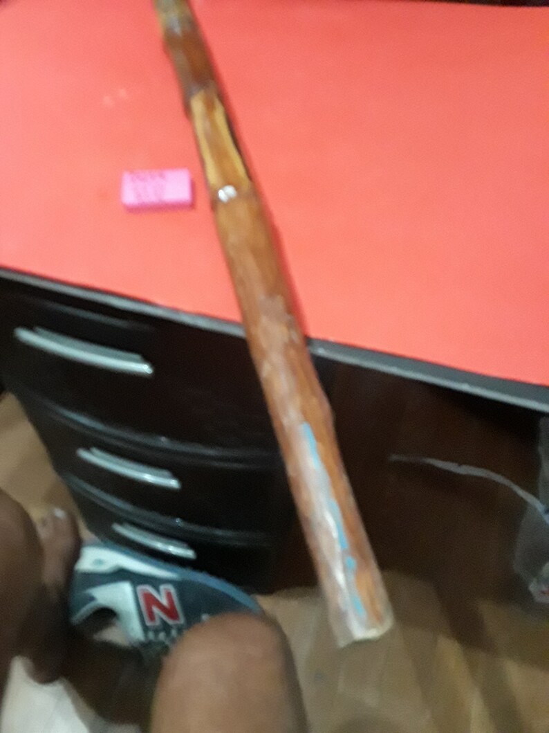 Parrot Staff States America on It Hand Carved - Etsy