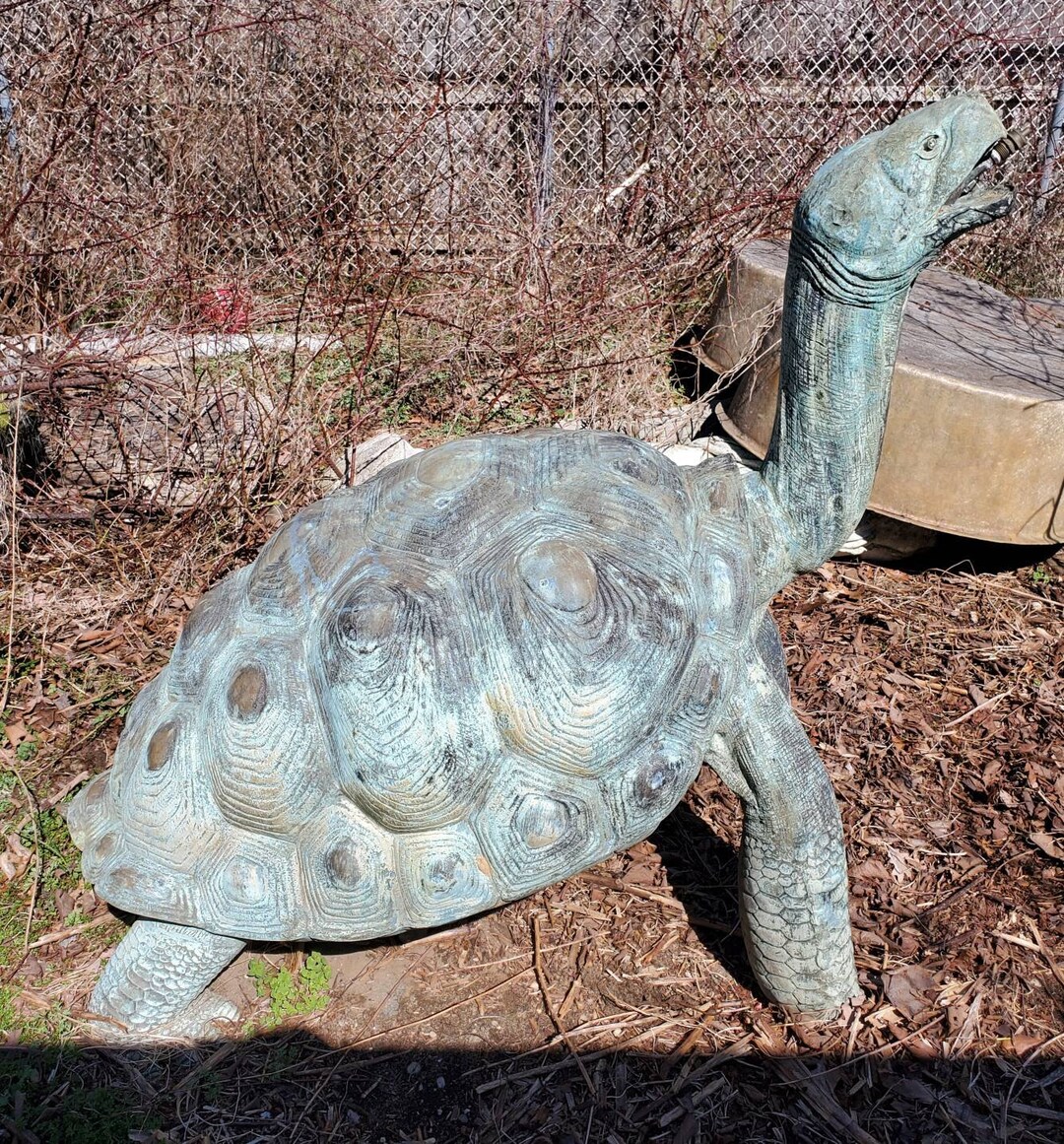 Giant Bronze Galapagos Tortoise Statue That Shoots Water Out of Mouth ...