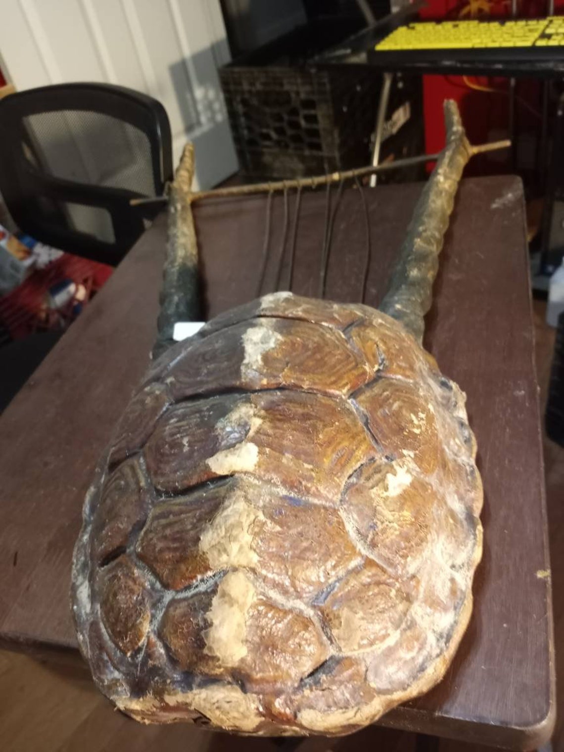 Turtle string instrument from Nigeria | Etsy