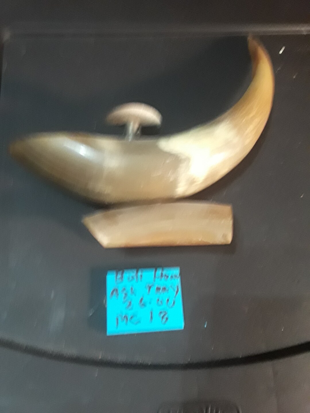 American Indian Bull Horn Ash Tray - Etsy