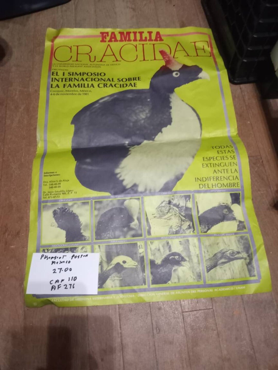 Pheasant Poster From Mexico in Spanish Used Condition - Etsy