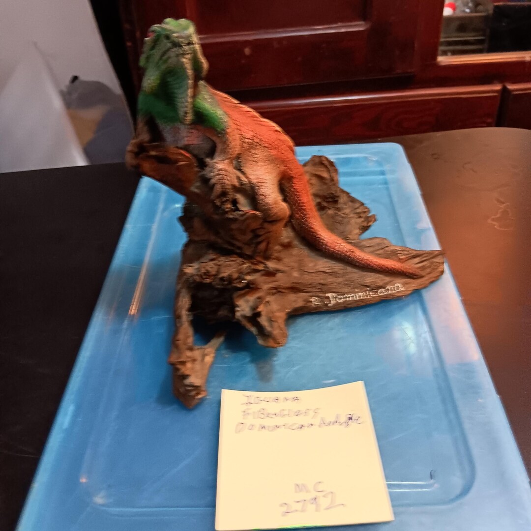 Iguana Fiberglass Statue Vintage From the Dominican Republic MC 2792 - Etsy