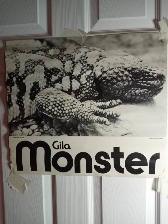 Gila Monster Poster | Etsy
