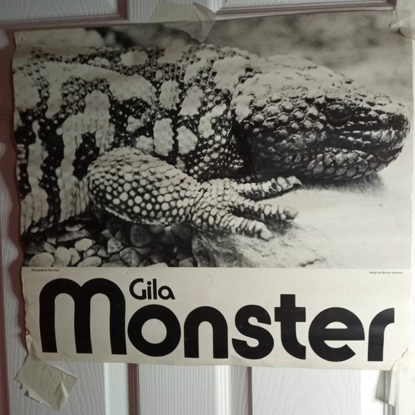 Gila Monster - Etsy