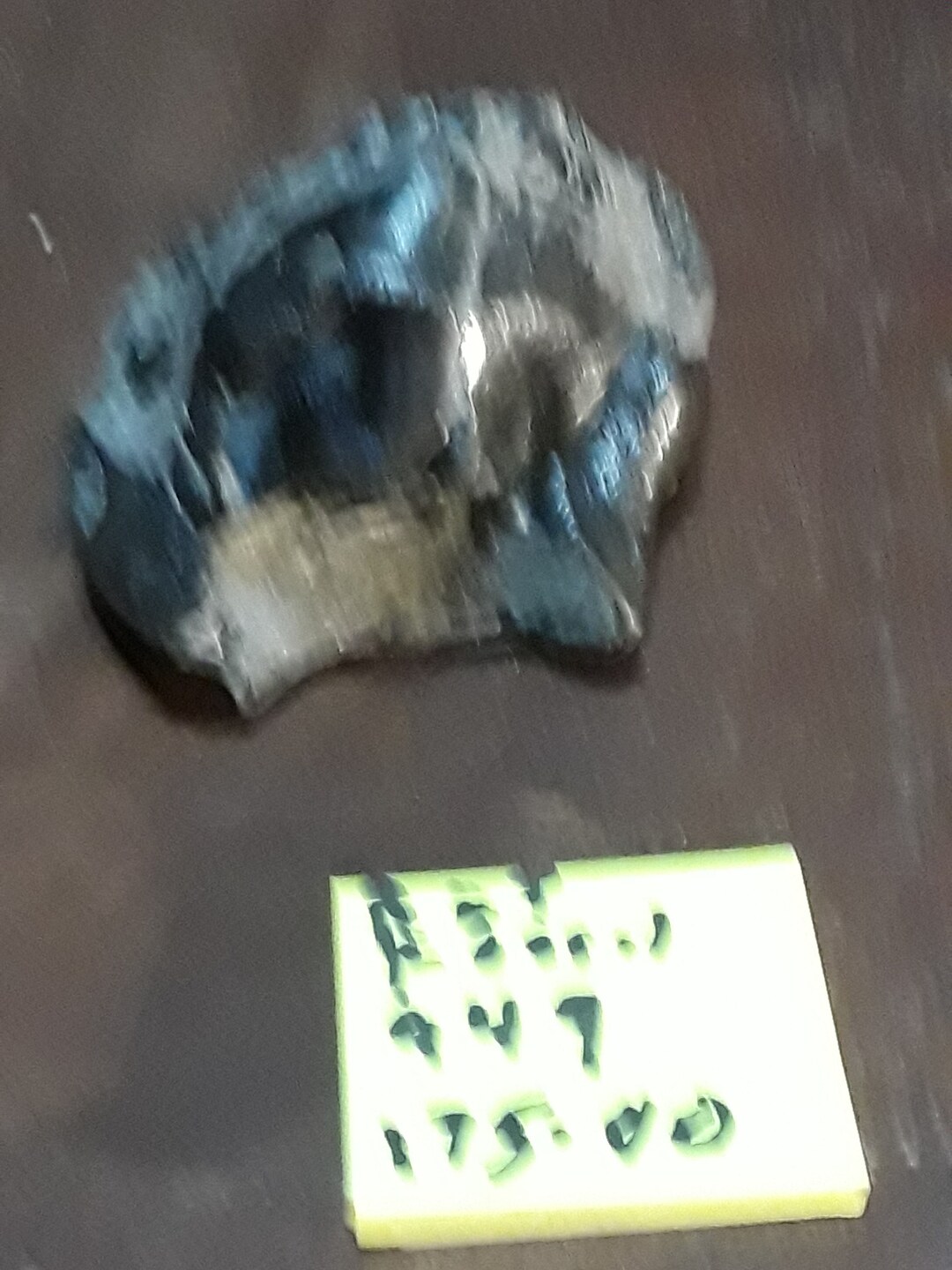 Rat Fossil Part of Haw Bone With Tooth. From Cambodia This is the Real ...