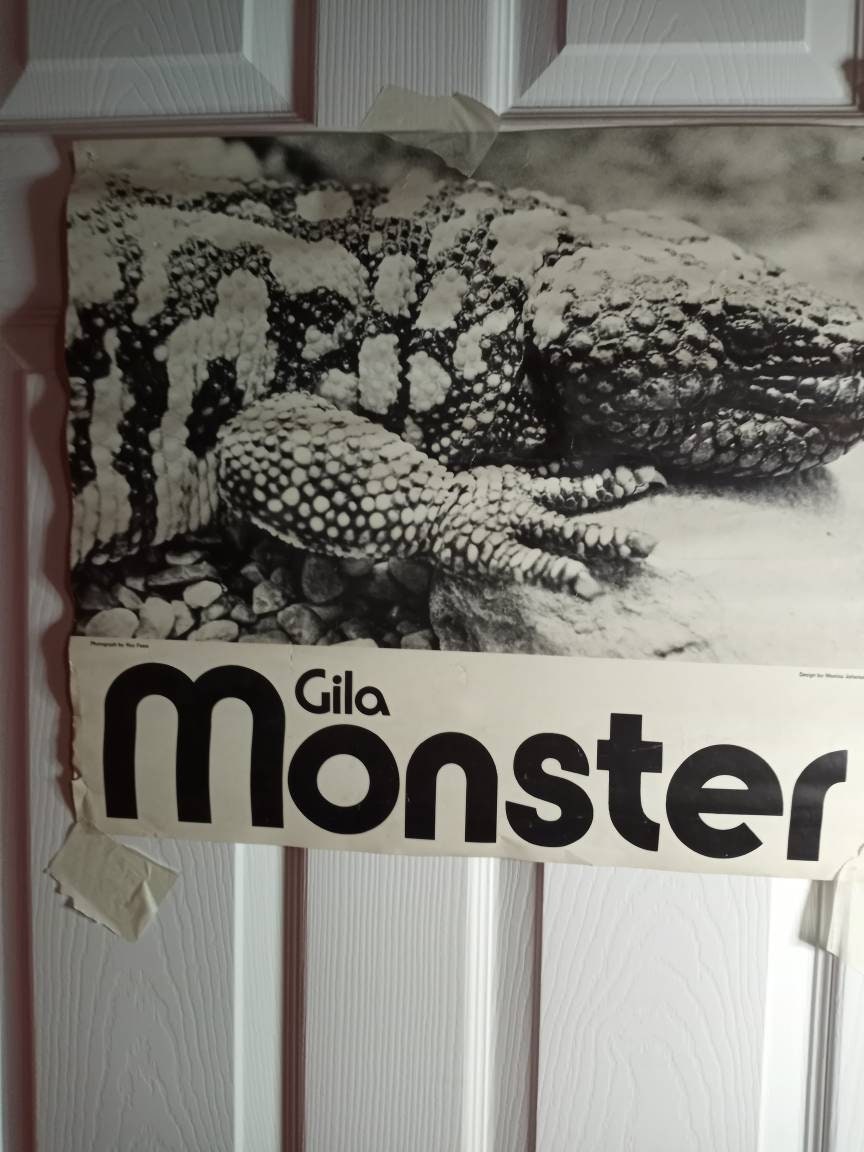 Gila Monster Poster | Etsy