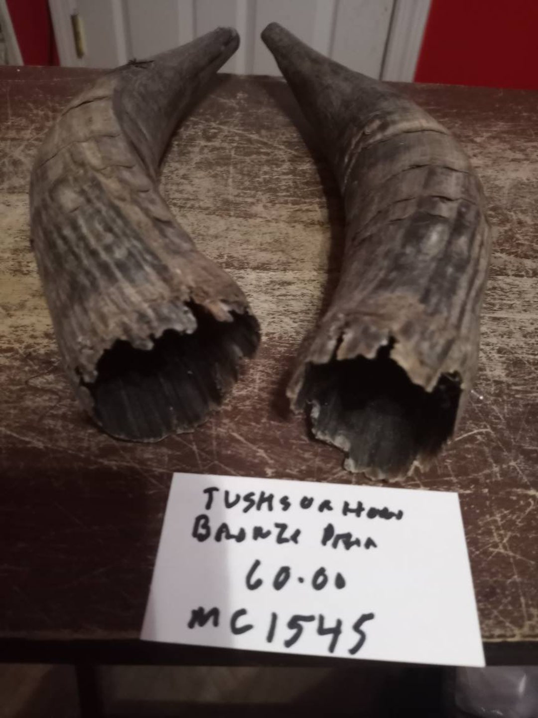 Tusks or Horns Bronze Pair Sold as is Vintage - Etsy