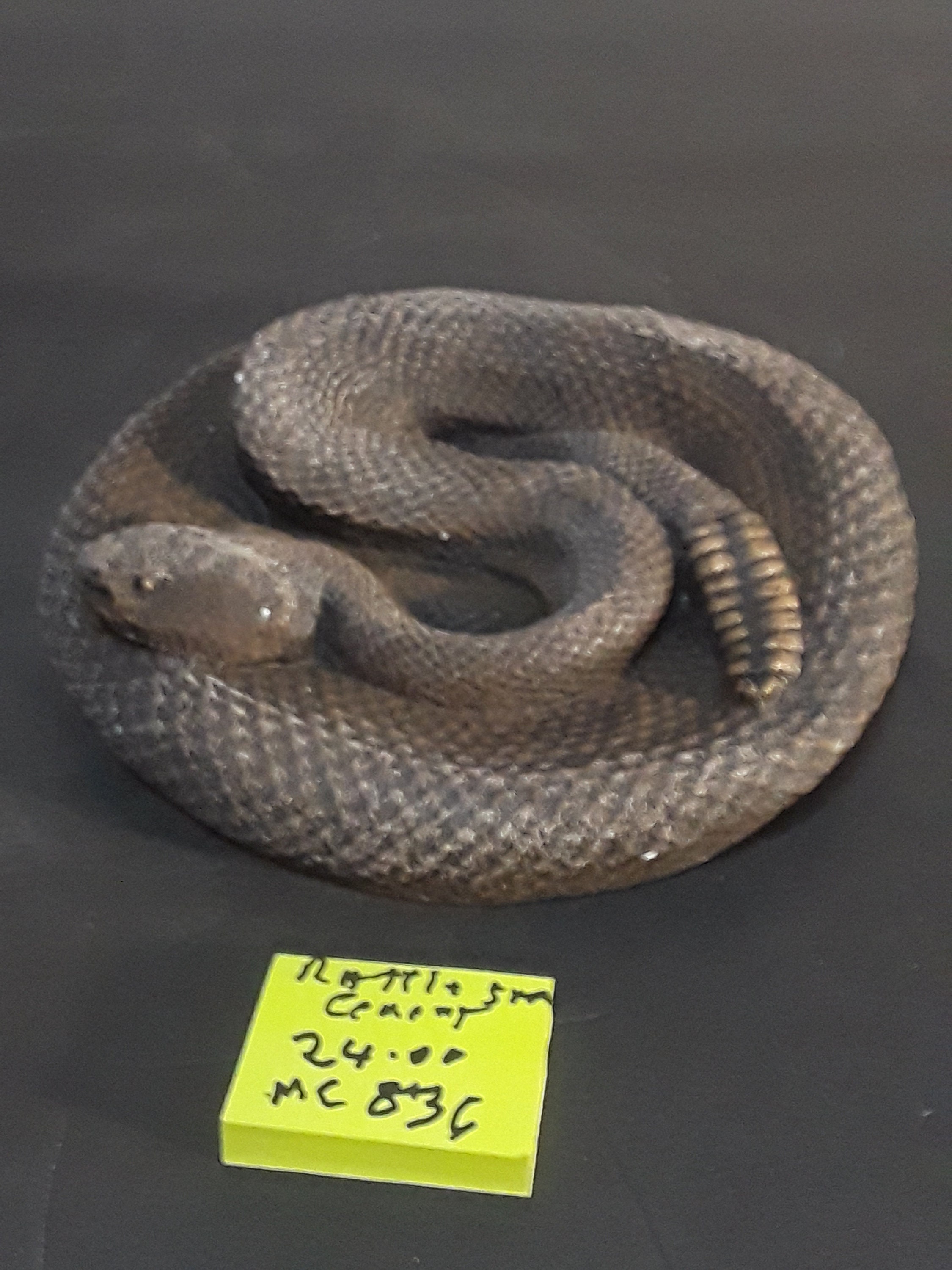 Rattle Snake Cement - Etsy