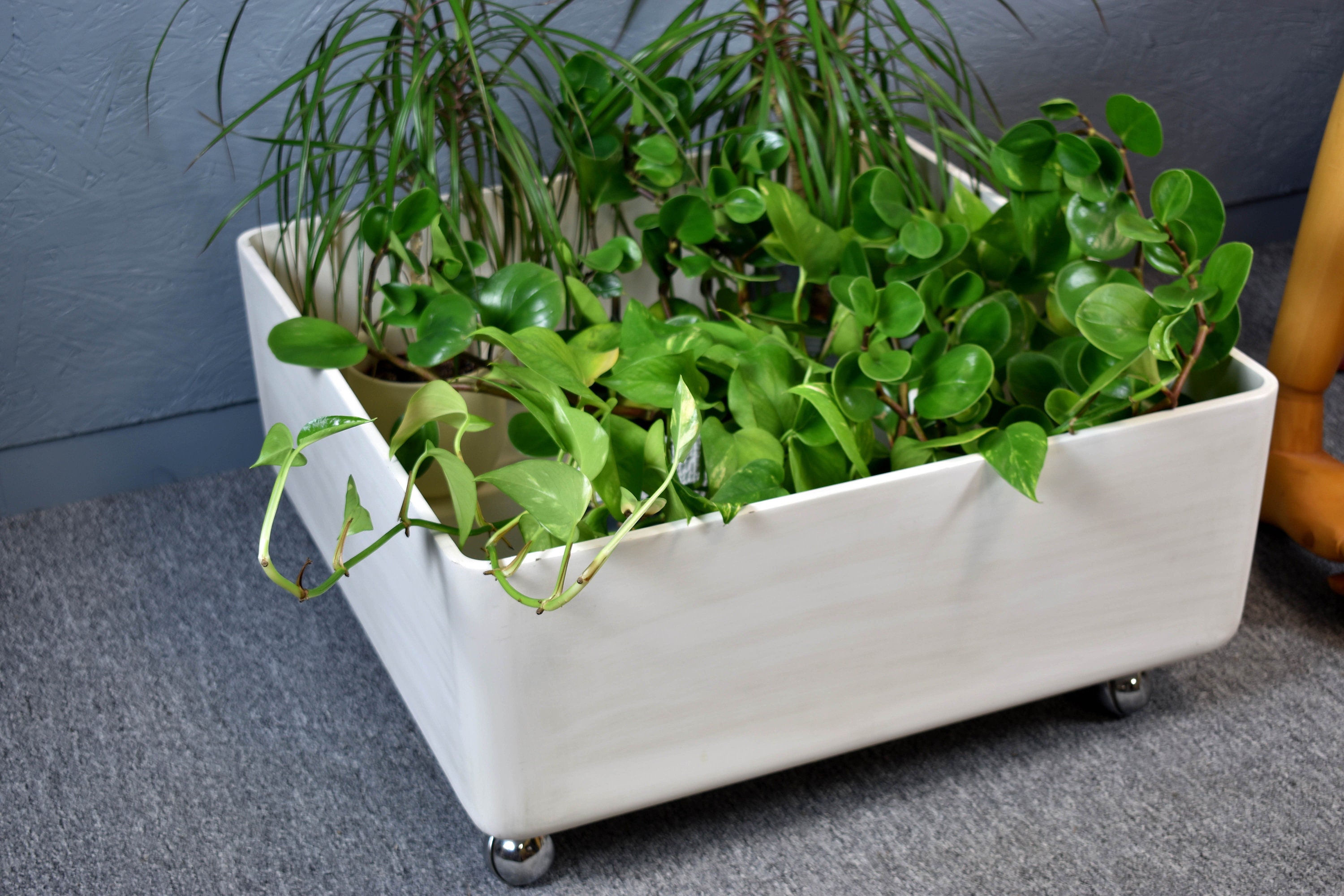 Rollable Flower Box DDR Vario PUR Furniture 70s Space Age - Etsy UK