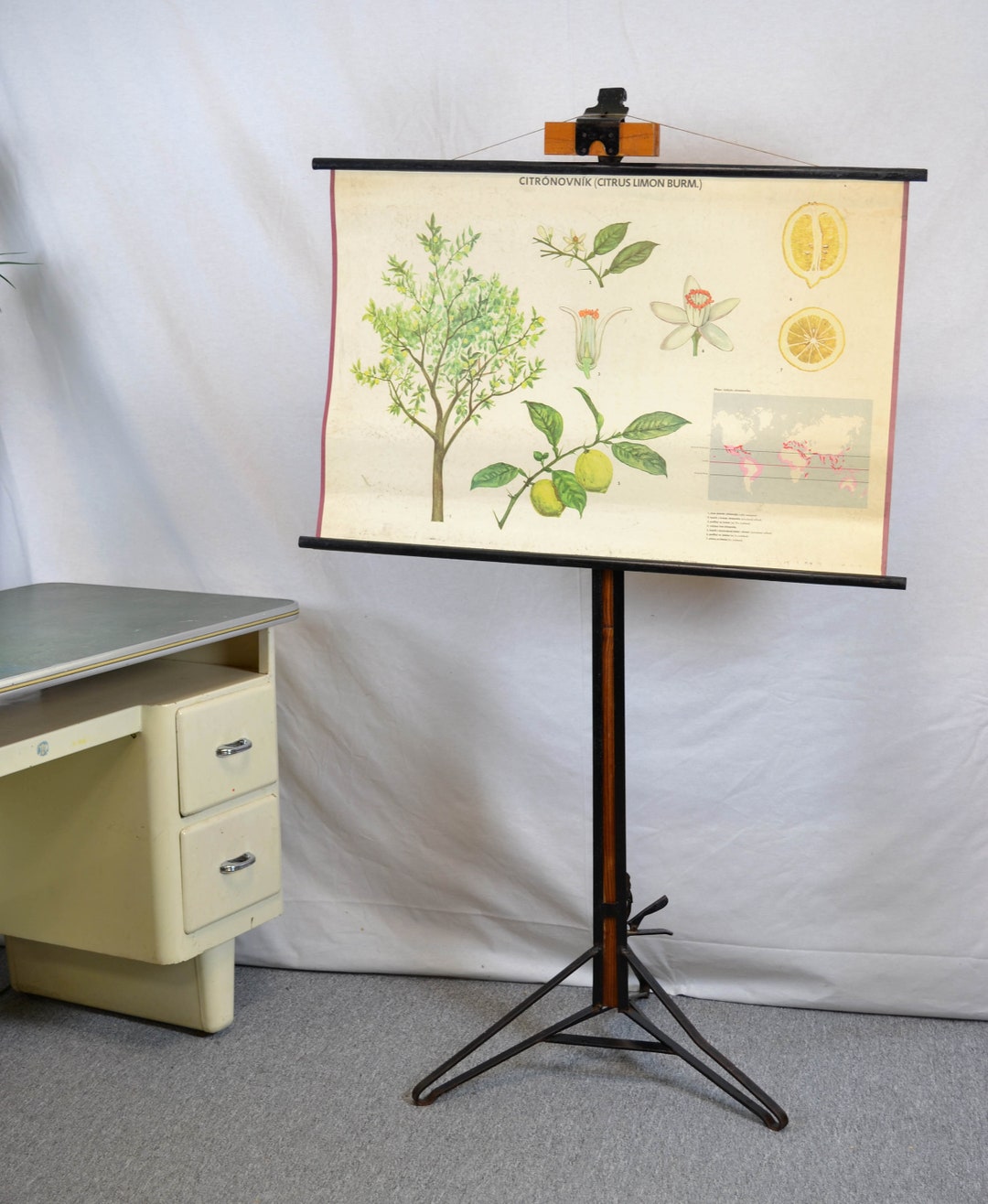 Old Roll-up Map, Pineapple Fruit, School Blackboard Image, Wall ...