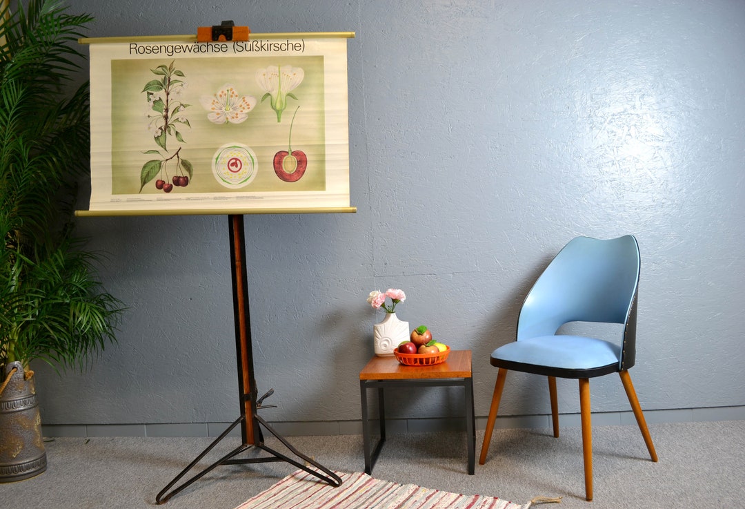 Old Roller Card GDR Cherry Rose Family School Board Image Wall Board ...