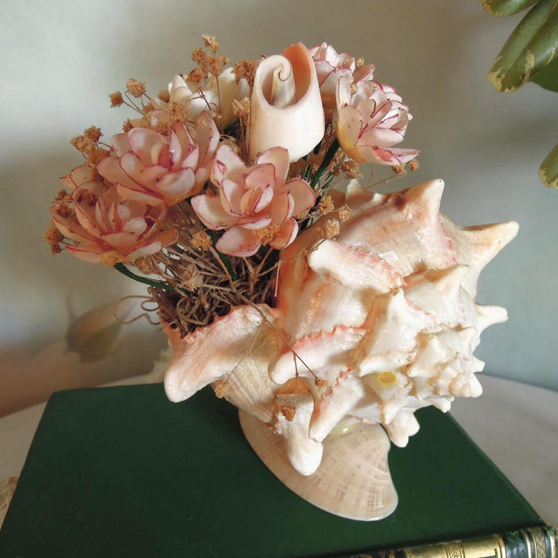 Shell Arrangements - Etsy