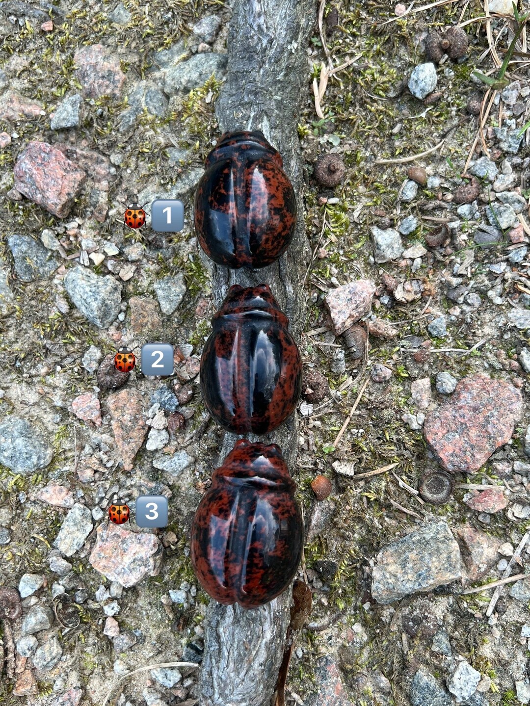Crystal Lady Bug Carvings Mahogany Obsidian Crystals and Gemstones - Etsy