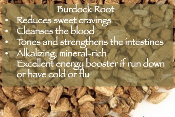 Burdock Tea