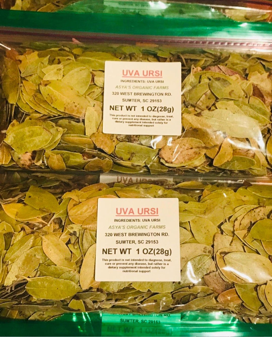 Organic Uva Ursi Leaf Tea - Etsy