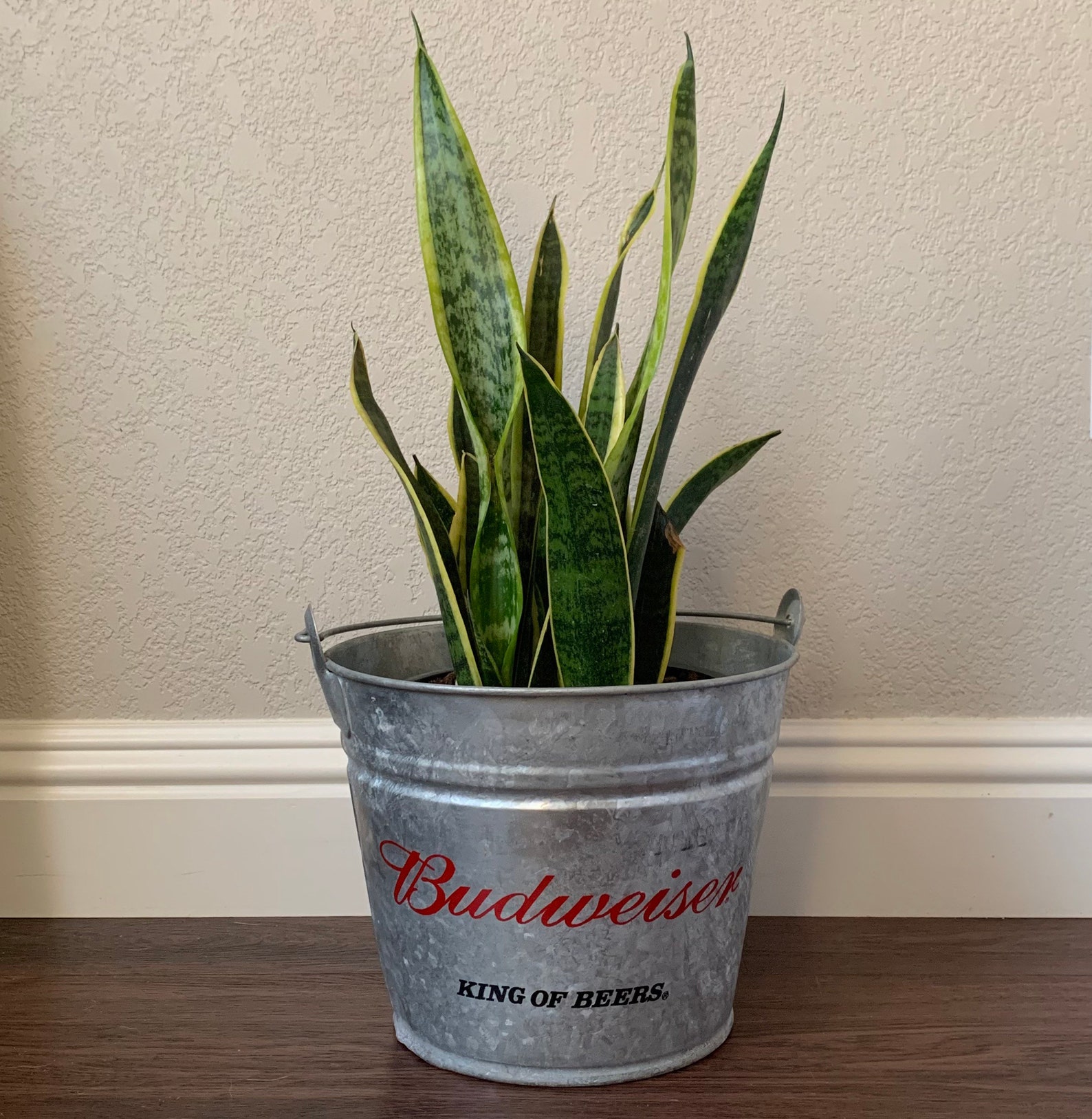 Budweiser Galvanized Metal Bucket - Etsy